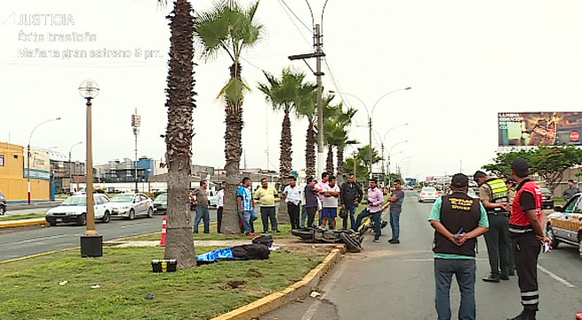 Callao: motociclista falleció al impactar contra palmera Callao: motociclista falleció al impactar contra palmera